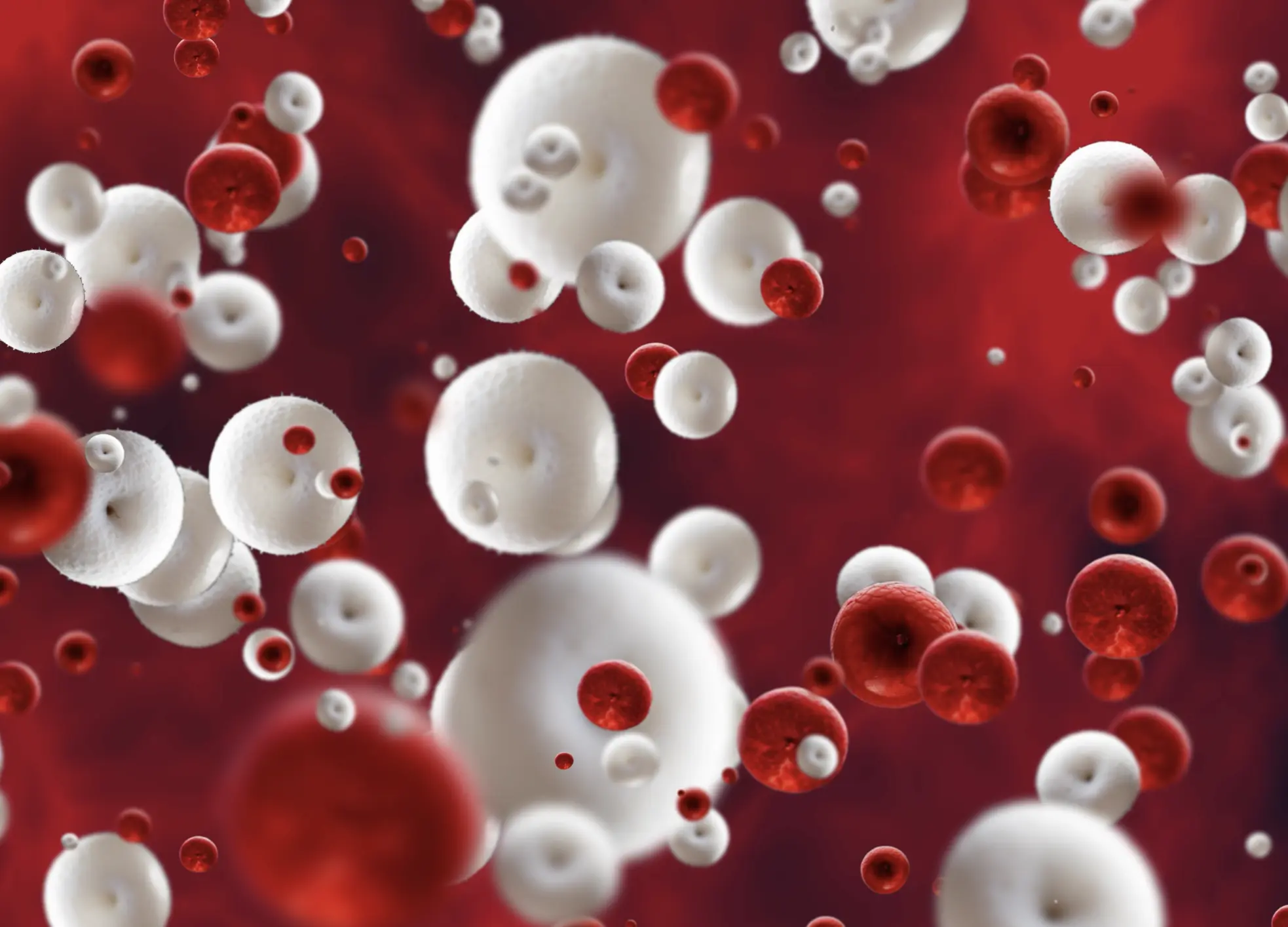Autoimmune Analyzer - Lifestyle Medicine